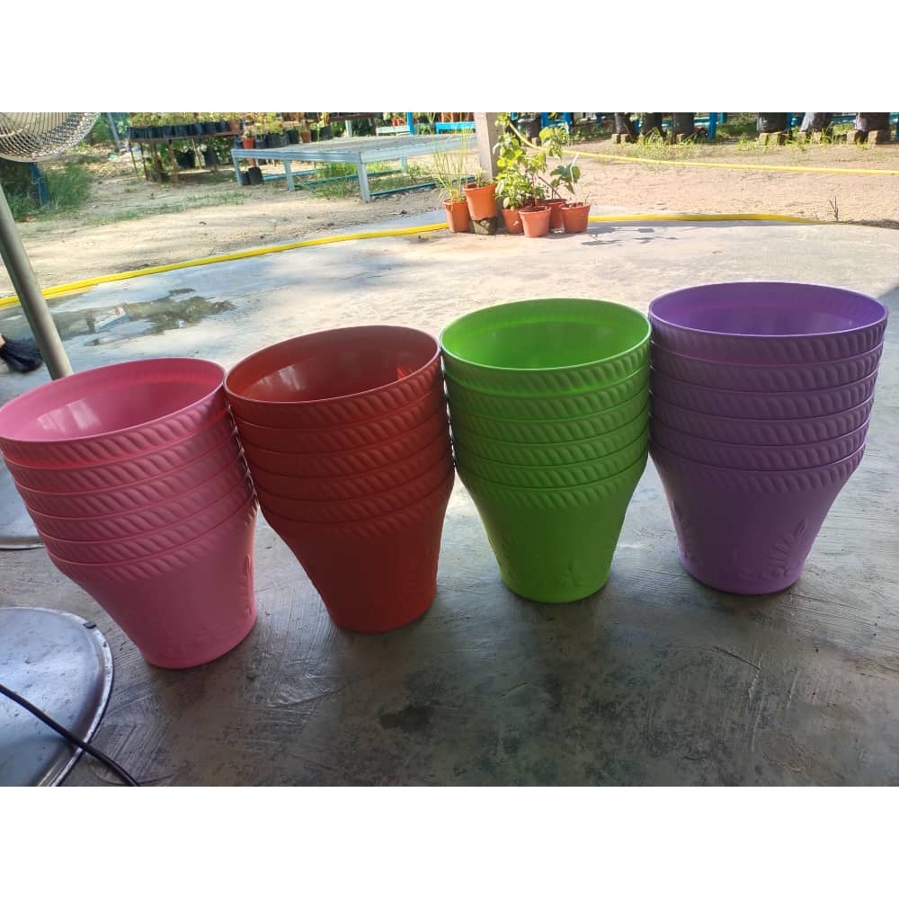 PASU WARNA WARNI 🌿🍀🌿🌿🌿🌿 | Shopee Malaysia