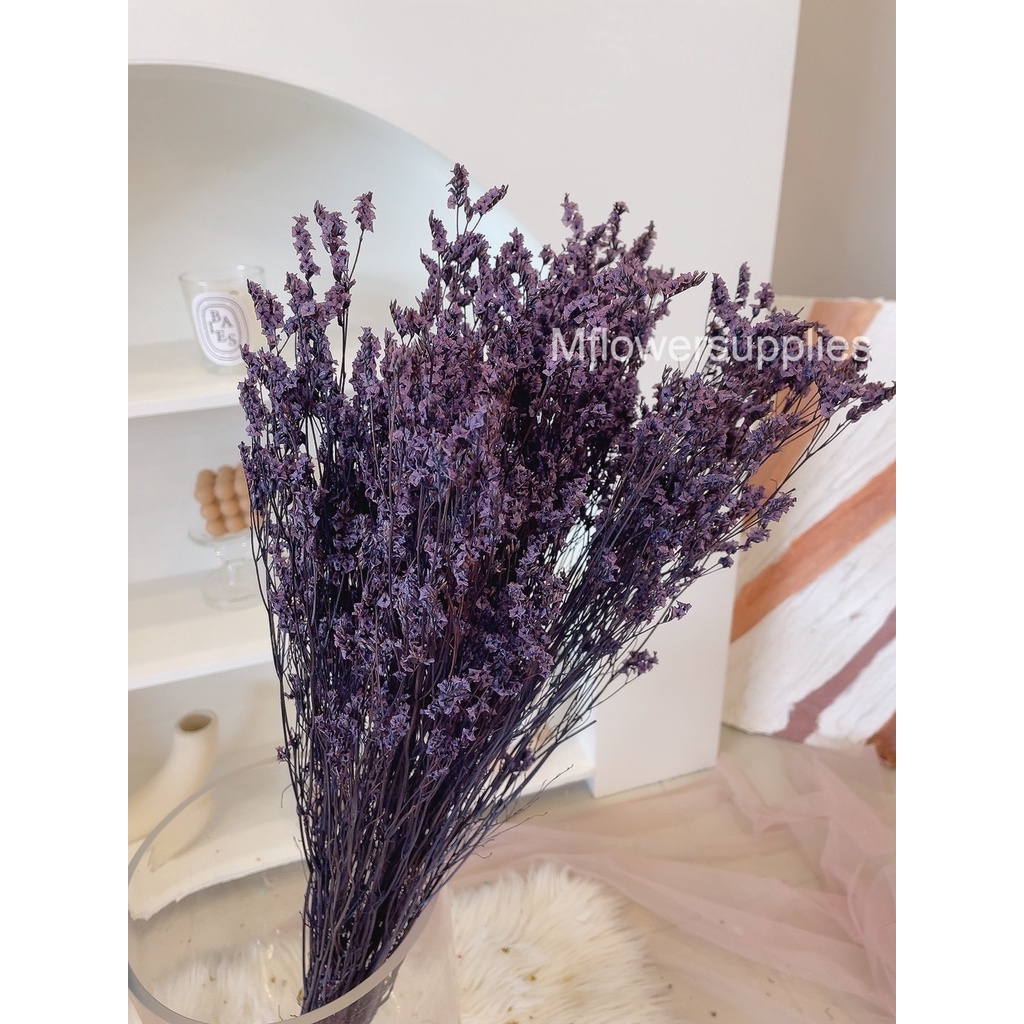 CRYSTAL GRASS Caspia Dried flower Dry Preserved Artificial Bouquet ...