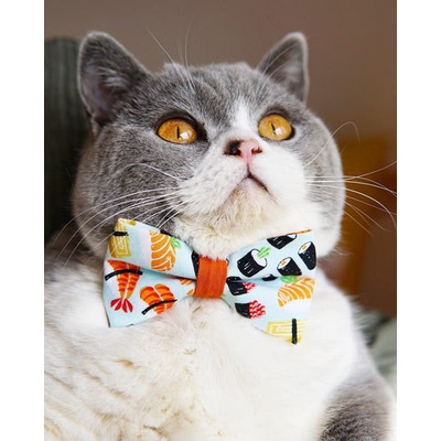 15 Rantai Leher Kucing Berloceng Comel 2022 Adjustable Cute Cat Collar ...