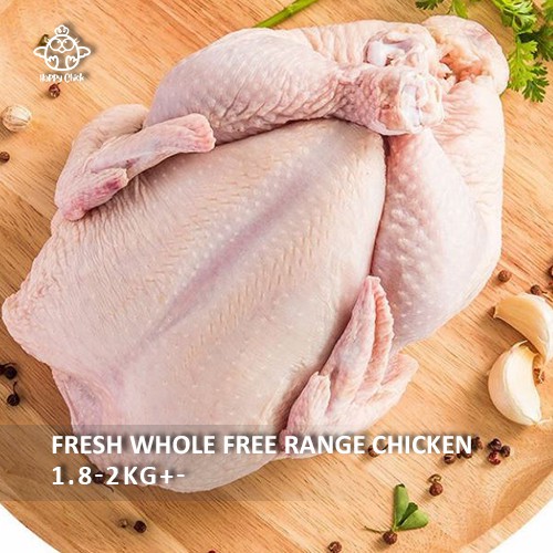 Fresh Premium Whole Free Range Chicken 1.6kg+- | 高品质新鲜菜园鸡 1.6公斤 ...