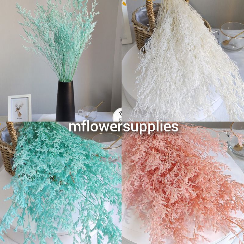 80gPure Caspia lover grass CASPIA Limonium Dried Dry Preserved ...