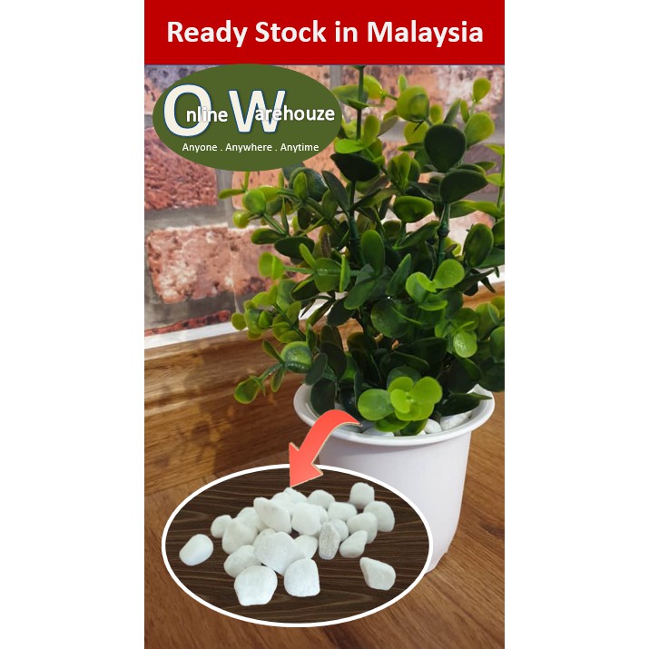 Pebble Wash Stone Plant Landscape Decoration / Biji Batu Pebble Hiasan ...