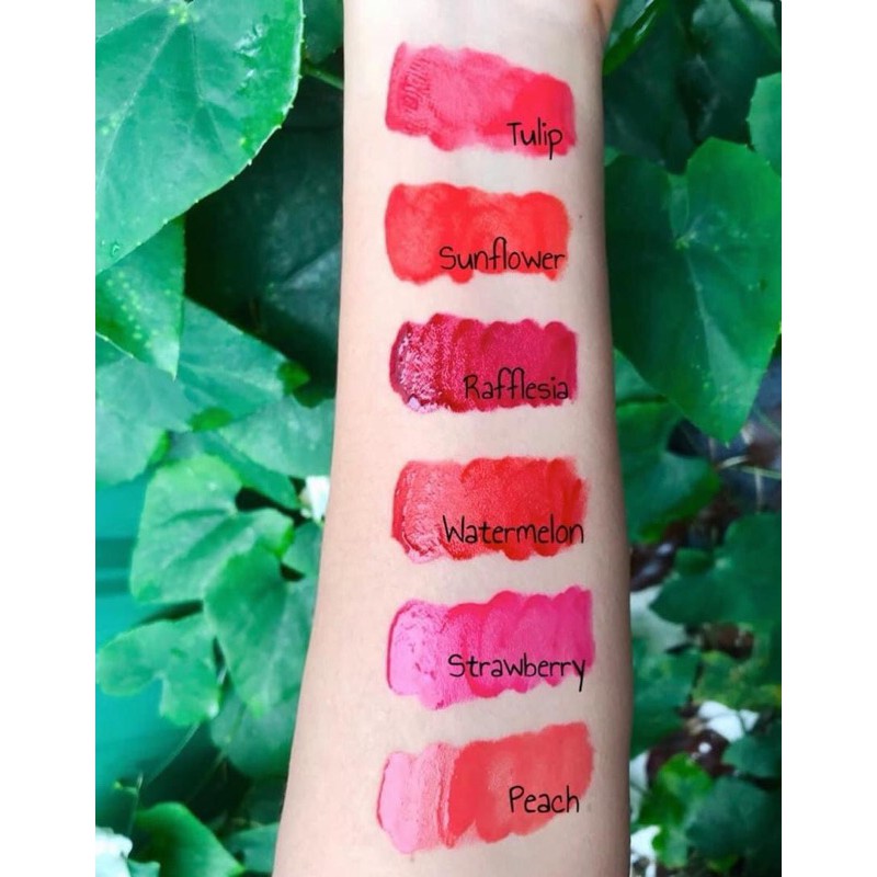 SOBELLA LIPTINT ORIGINAL | Shopee Malaysia