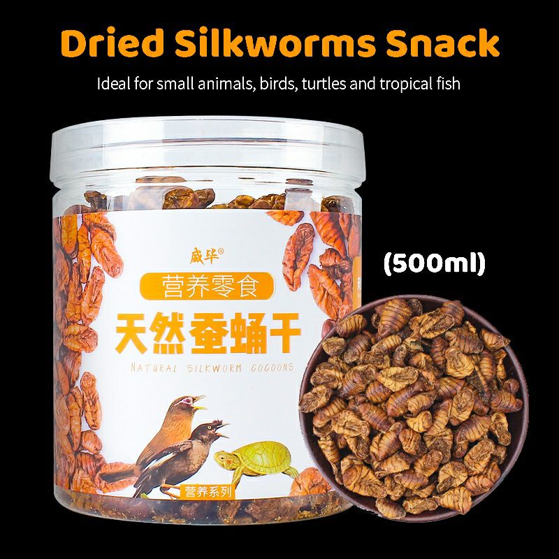 Dried Silk worm Pupae Hedgehog snack High Protein 500ml Bird snack ...