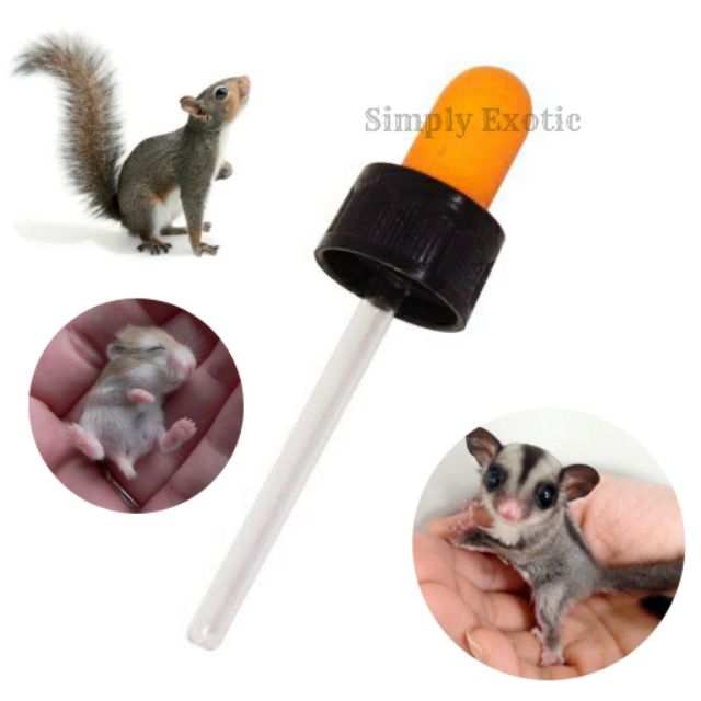 Feeding Tube Small Animal Dropper For Sugar (Dropper) | Shopee Malaysia