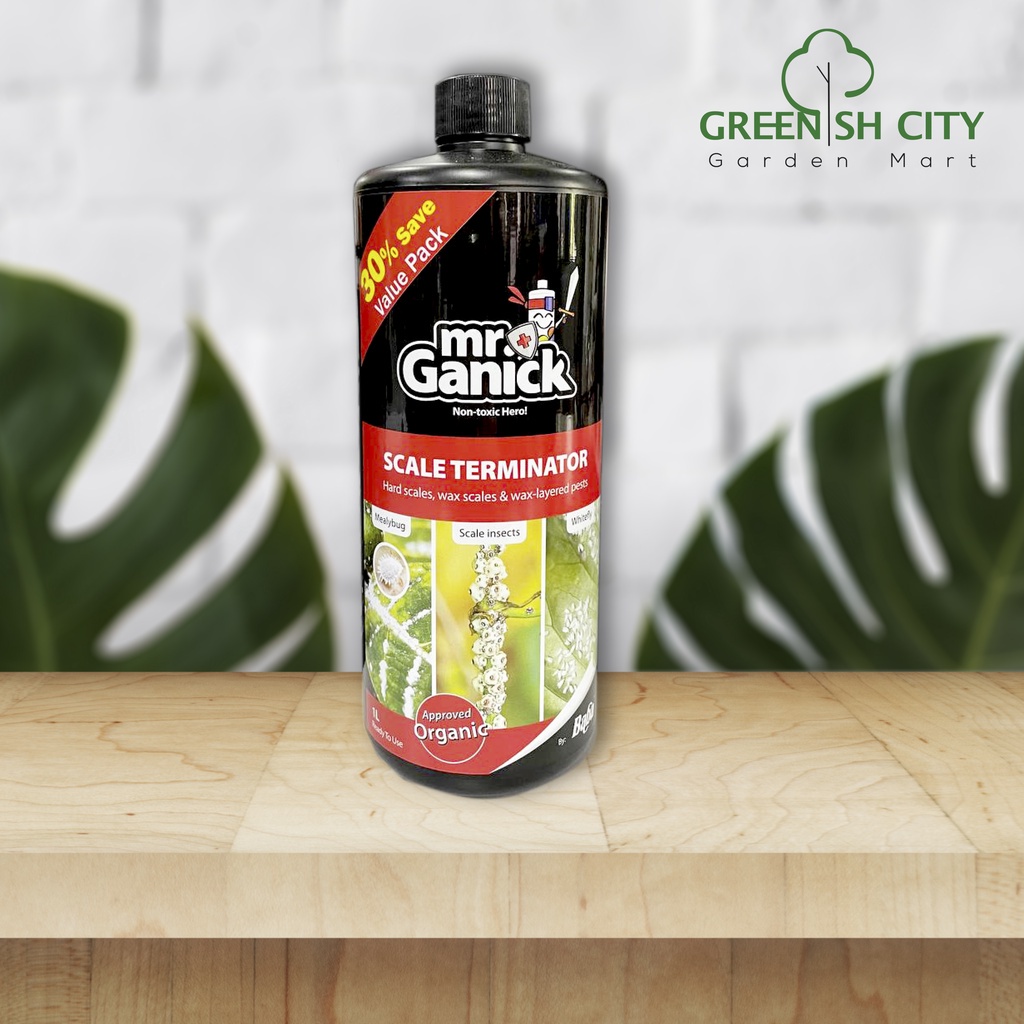 GNC Baba Mr Ganick Scale Terminator Natural Pesticide 500ML MealyBug ...
