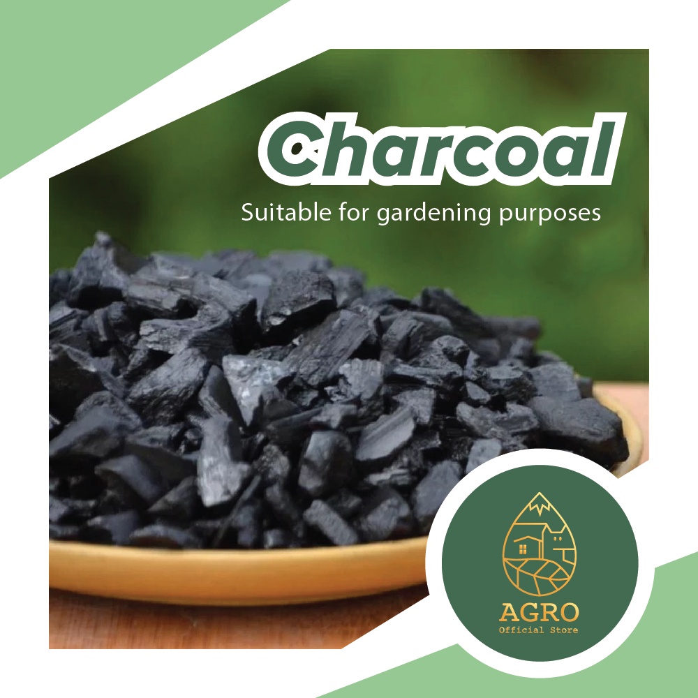 GARDEN CHARCOAL ARANG ORKID 1KG Horticultural Charcoal Arang Kayu Activated Carbon Charcoal ...