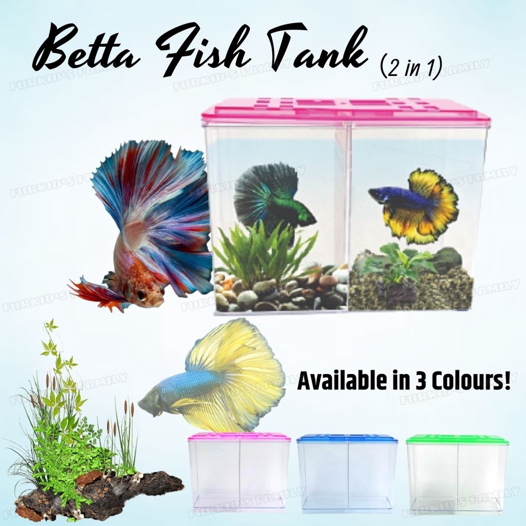 2 In 1 Double Betta Fish Aquarium Fish Tank / Plastic Betta Guppy Tank ...