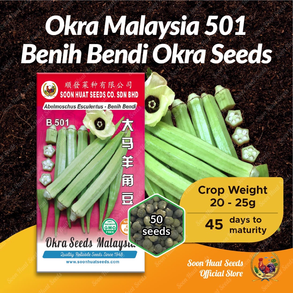 [Small Pack] 501 Benih Bendi Malaysia Soon Huat Seeds | Shopee Malaysia