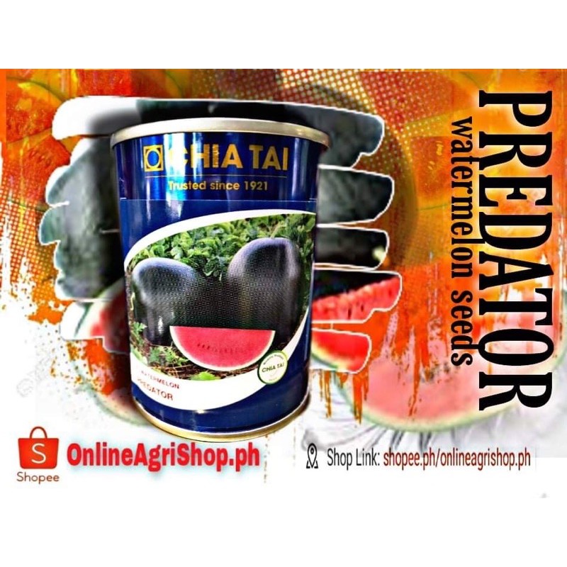 Predator Watermelon F1 50grams (Chia Tai) | Shopee Malaysia