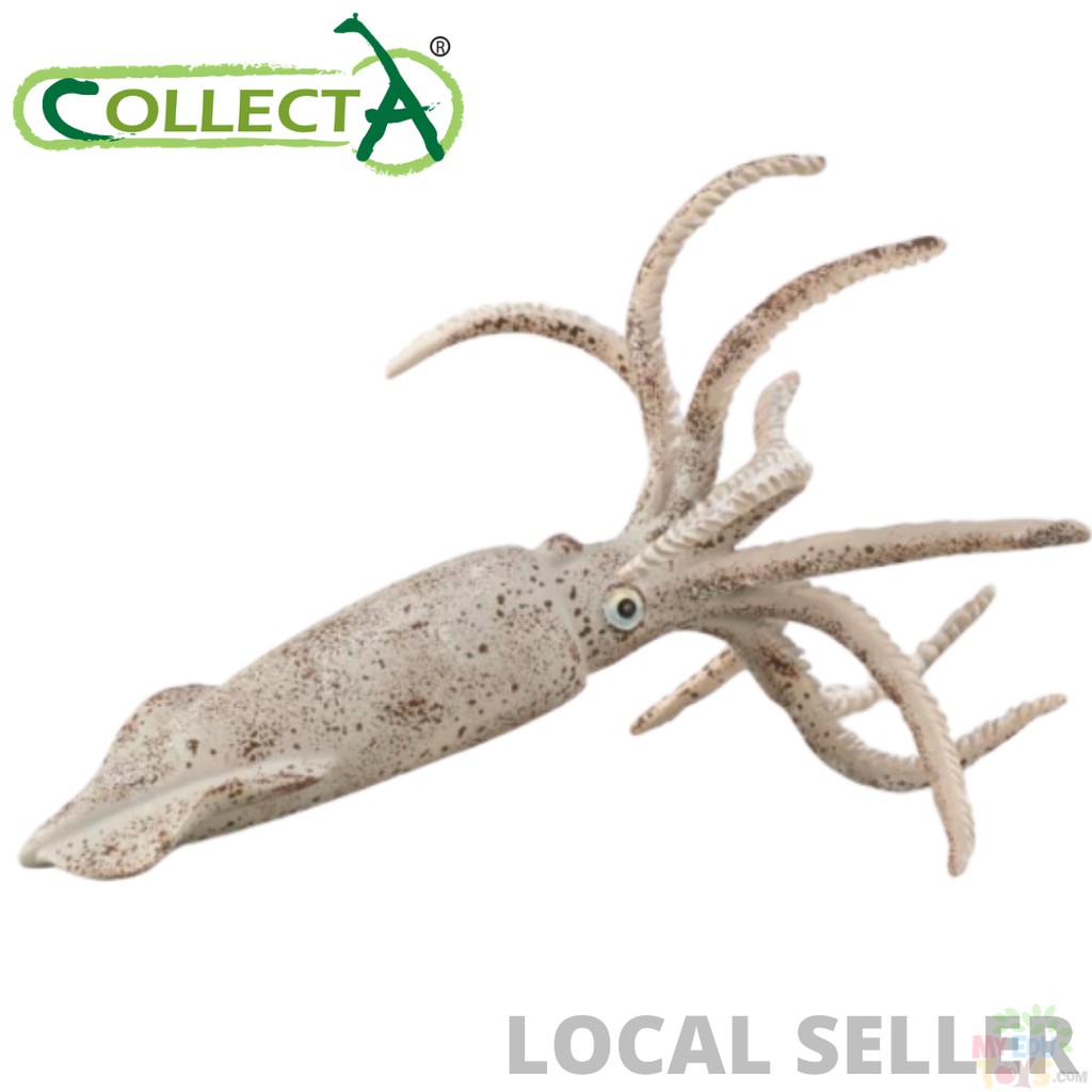Belemnite - Collecta 88904 Prehistoric Life Ocean & Sea Squid Action ...