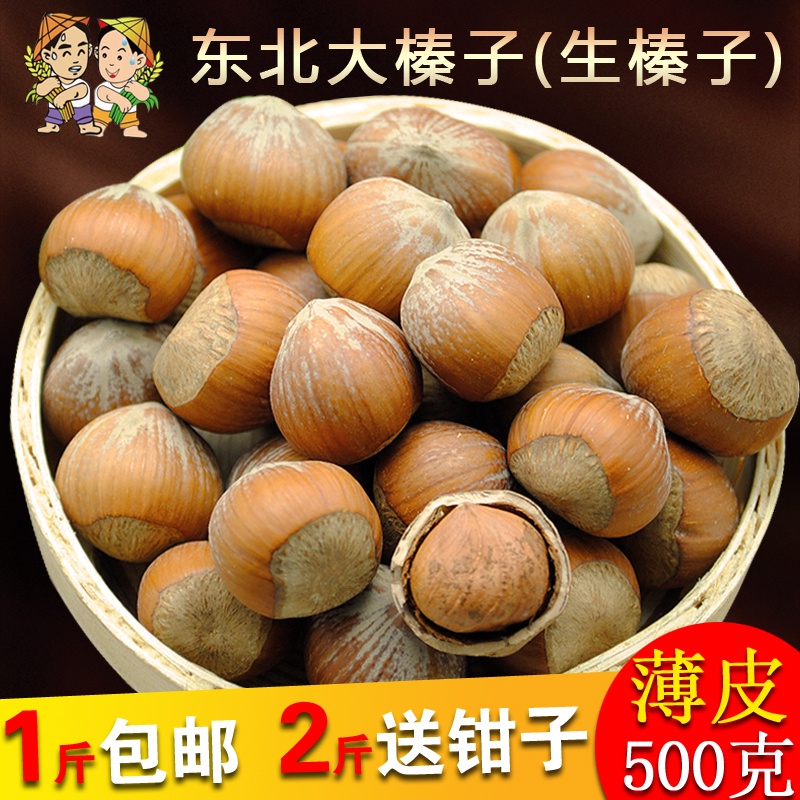 ☆Northeast Specialty Big Cobnut Tieling Raw Hazelnut2020New Product ...