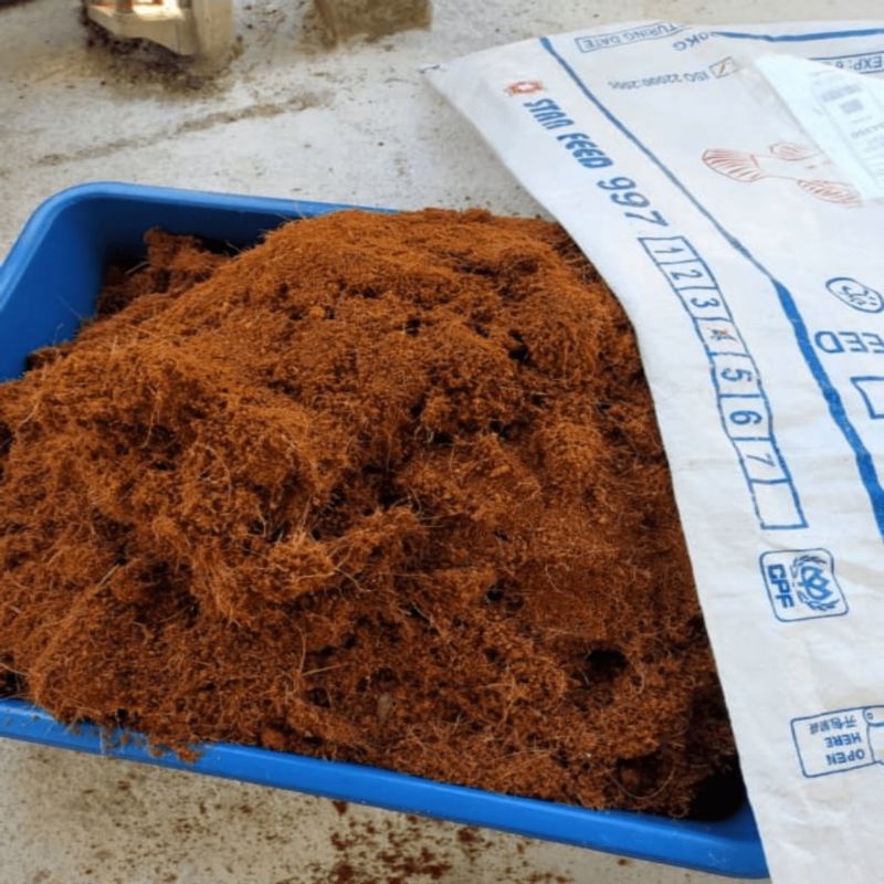 cococopeat/sabut kelapa/sabut hancur/halus/plastik saiz 9x14 | Shopee ...