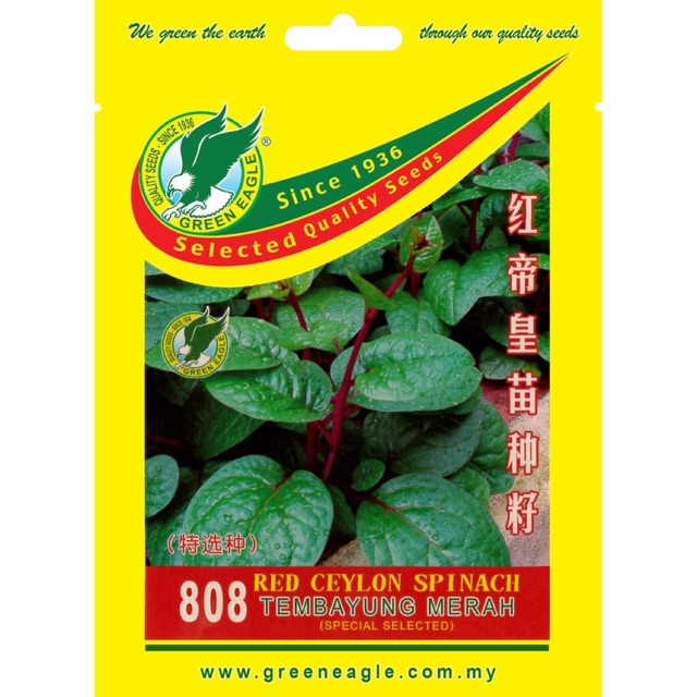 808 RED CEYLON SPINACH TEMBAYUNG MERAH 紅帝皇苗种籽 | Shopee Malaysia