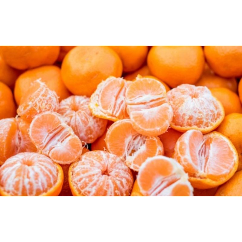 Buah limau kecik/ baby orange/ oren | Shopee Malaysia