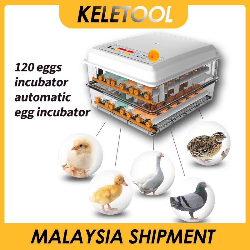 120 Eggs Incubator Brooder Bird Quail Chick Hatchery Incubator Poultry Hatcher Turner Automatic ...