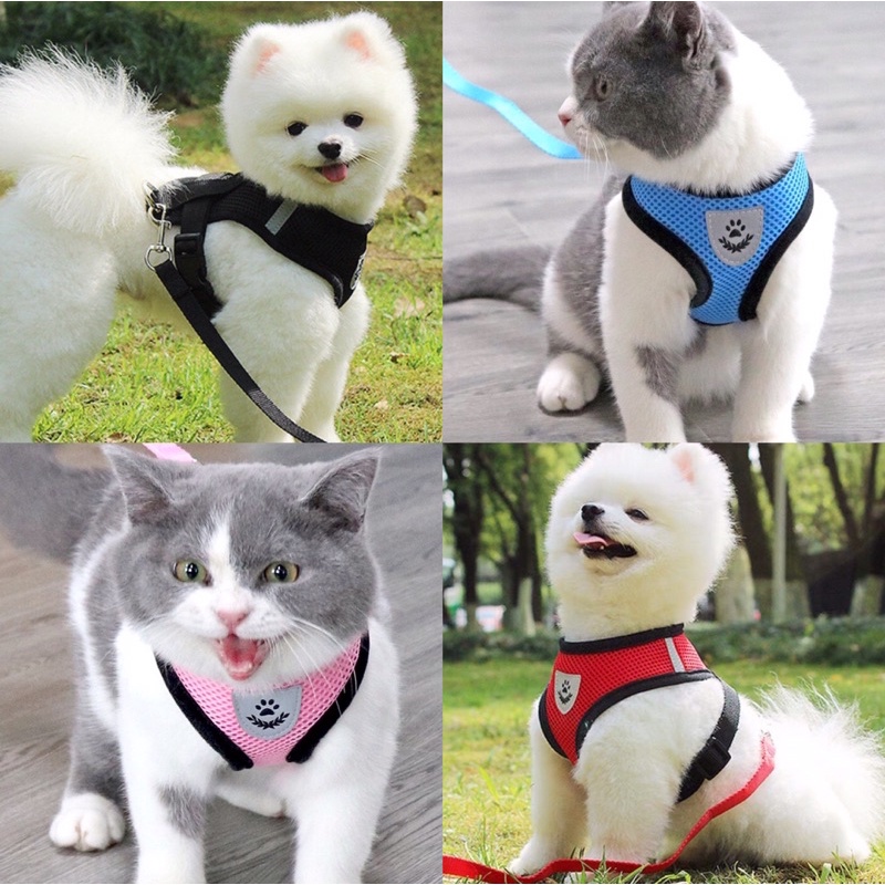 Pet Harness Dog Strap Cat Leash Breathable Fabric Tali Kucing Tali ...