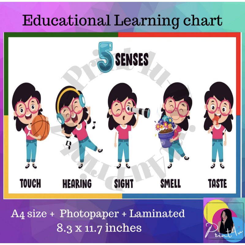 5 senses Learning chart for kids Laminated A4 | Shopee Malaysia