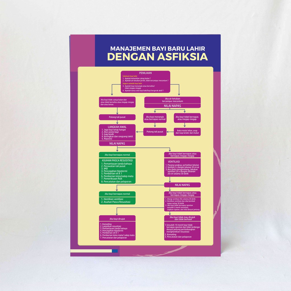 Midwifery Poster: Management of Newborn Babies with Asphyxia | Shopee ...