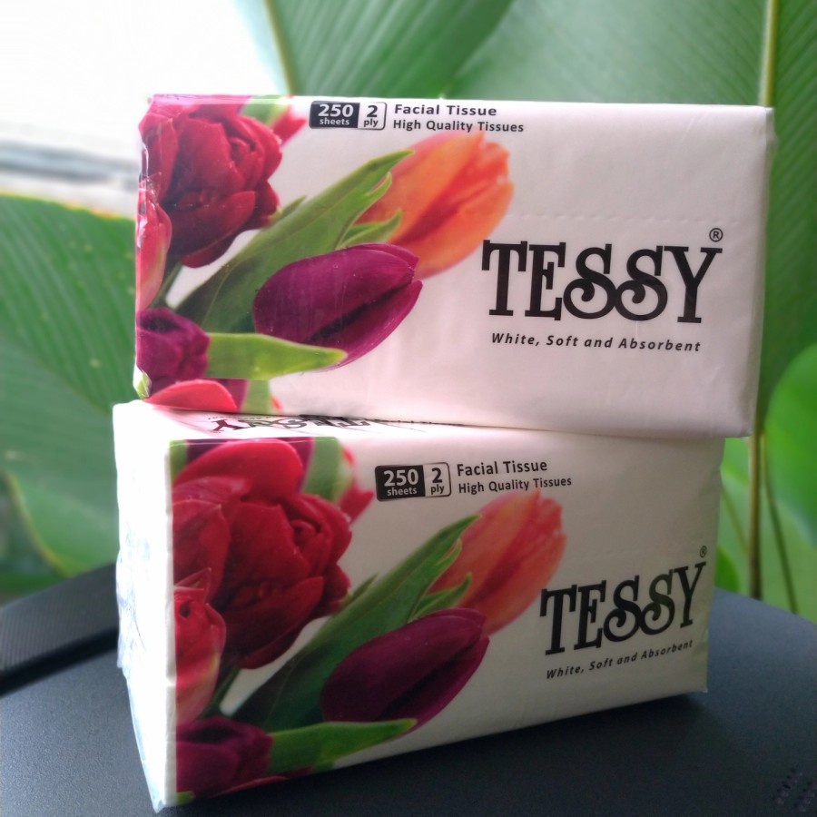 Tessy TISSUE TYSSUE SOFTPACK 250'S TESSY (2 PLY) / TESSY TISYU FACIAL ...