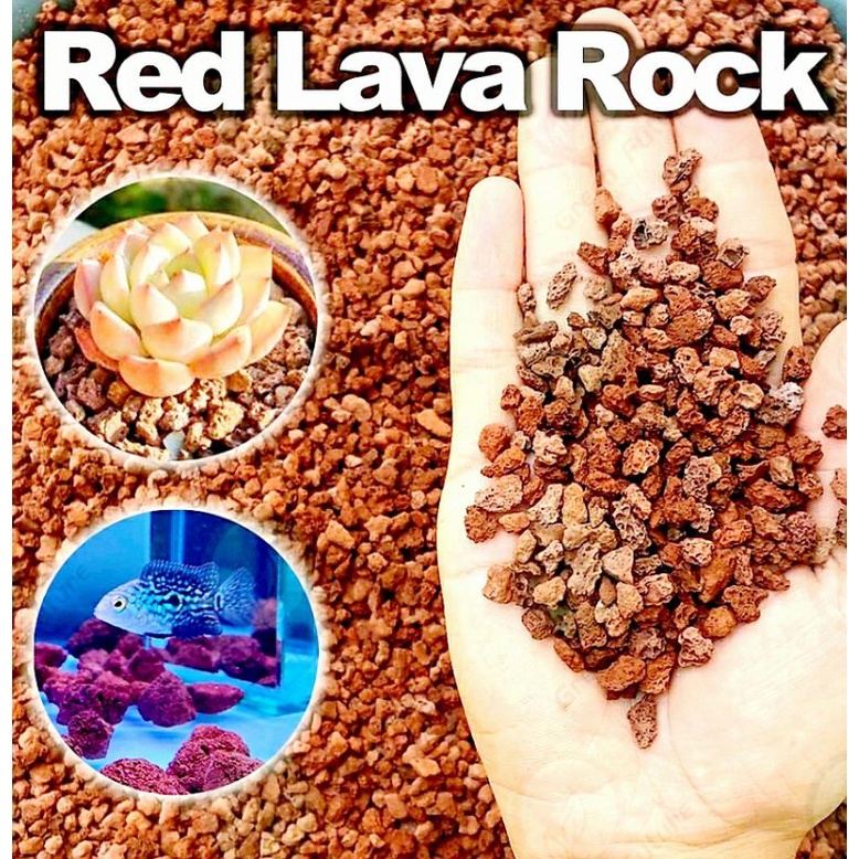 Red Lava Rock Volcanic Stone Media Filter 1KG 🔥 | Shopee Malaysia