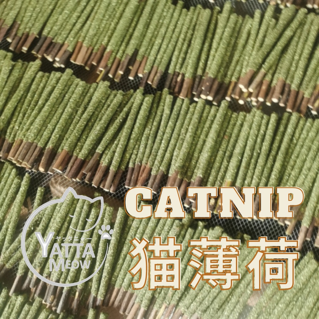 😺😸😽 3xPCS SILVERVINE Matatabi Teeth Molar Cleaning Catnip Gall Treats ...