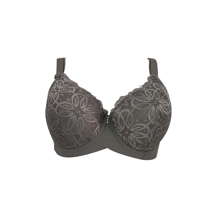 Hari-Hari - EV FASHION Women's Bra D Cup Wired Baju Dalam Wanita Ada ...