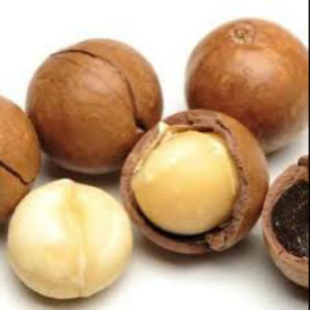 Kacang Macadamia 500gm (Halal) | Shopee Malaysia
