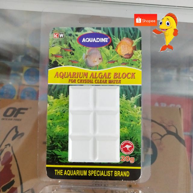 Ready stock AQUADINE Aquarium and Pond Algae Block For Crystal Clear ...