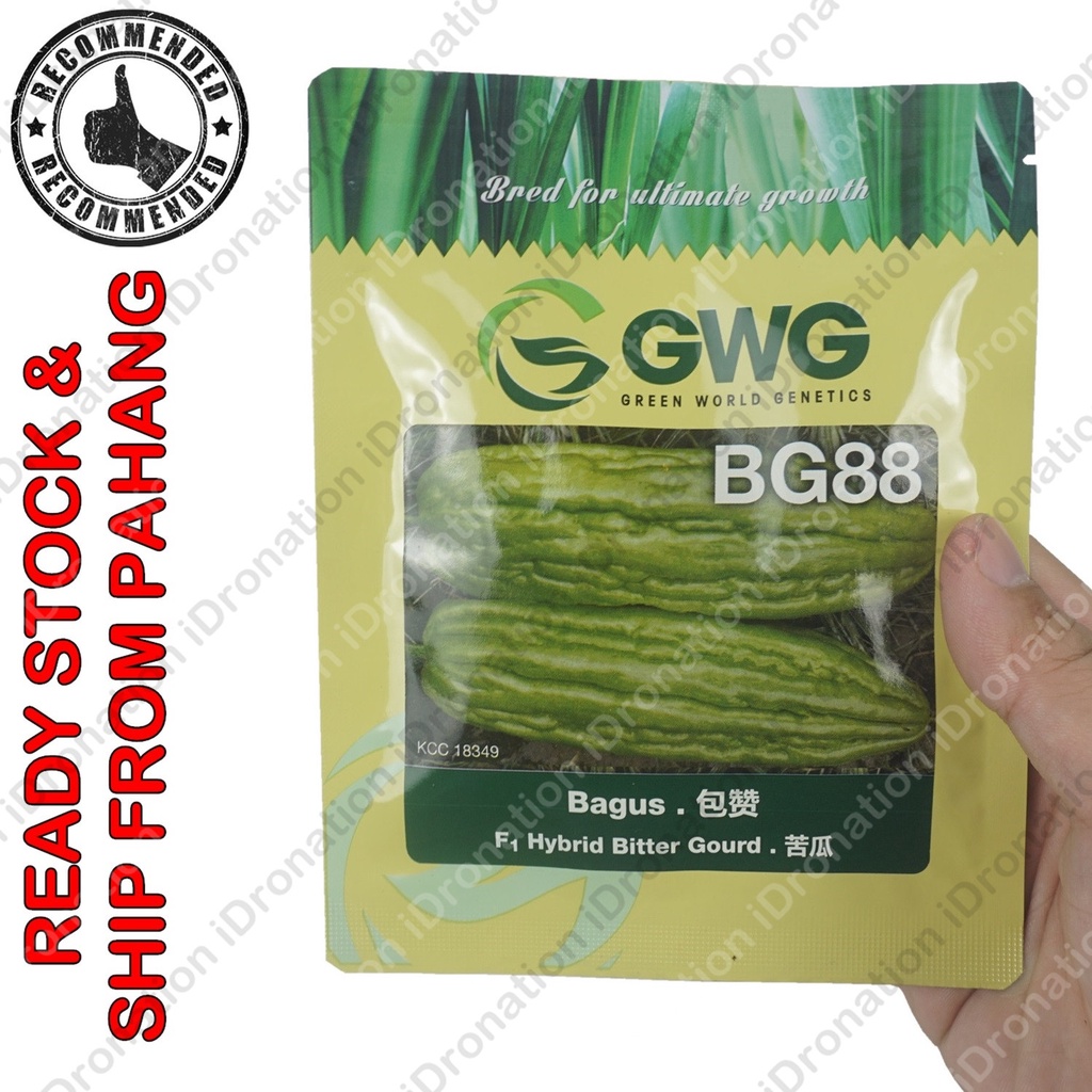 Leckat GWG BG88 Seed Seeds Biji Benih Sayur 20G 100G Peria Besar Bagus ...