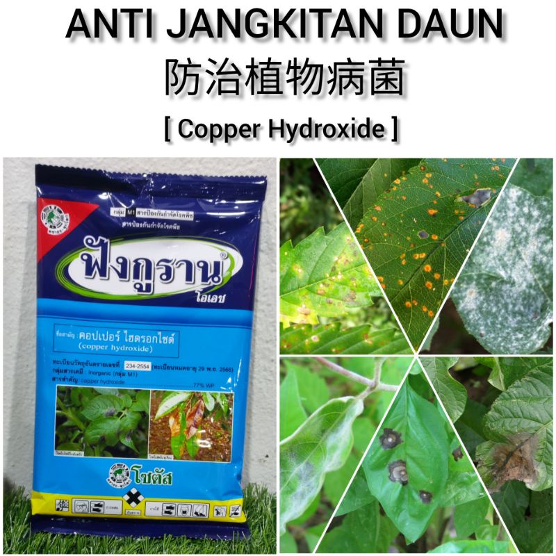 Funguran Anti Jangkitan Daun Siam 100 gram ( Copper hydroxide) Racun ...