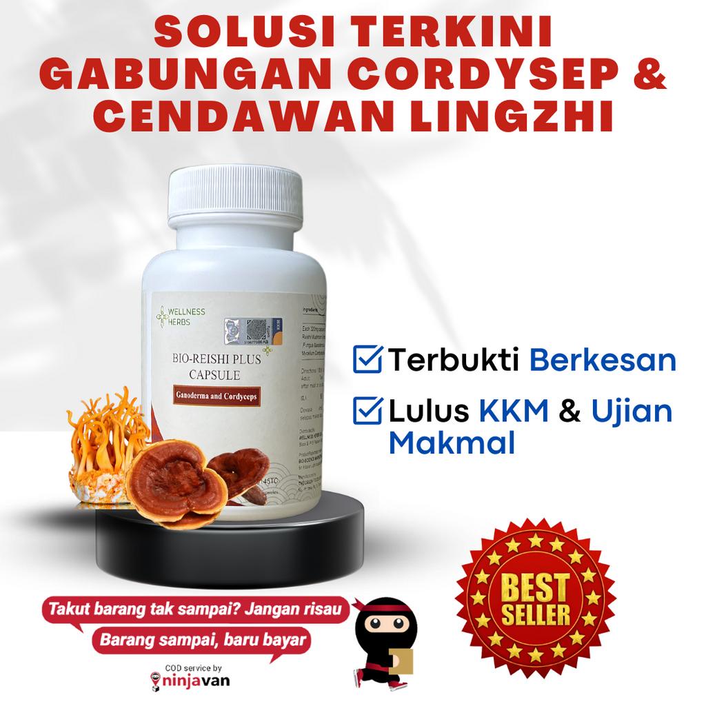Bio Reishi Plus / Cordyceps Herbs + Lingzhi Capsules By Wellness Herbs ...