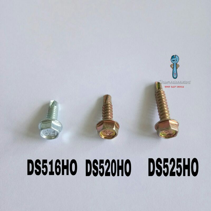 Self Drilling Screw DS516HO DS520HO DS525HO Screw Besi Channel ...