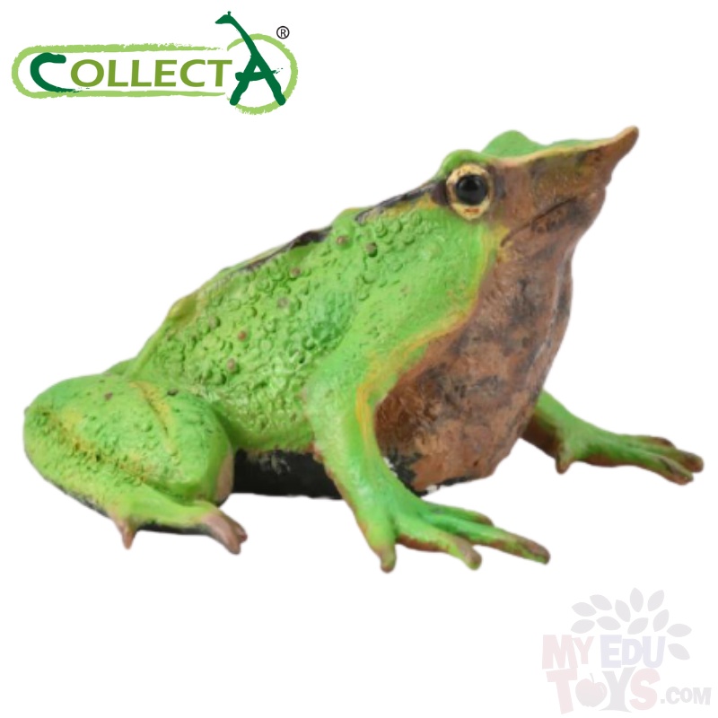 Darwin's Frog - Collecta 88938 Reptiles & Amphibians Wild Life Animal ...