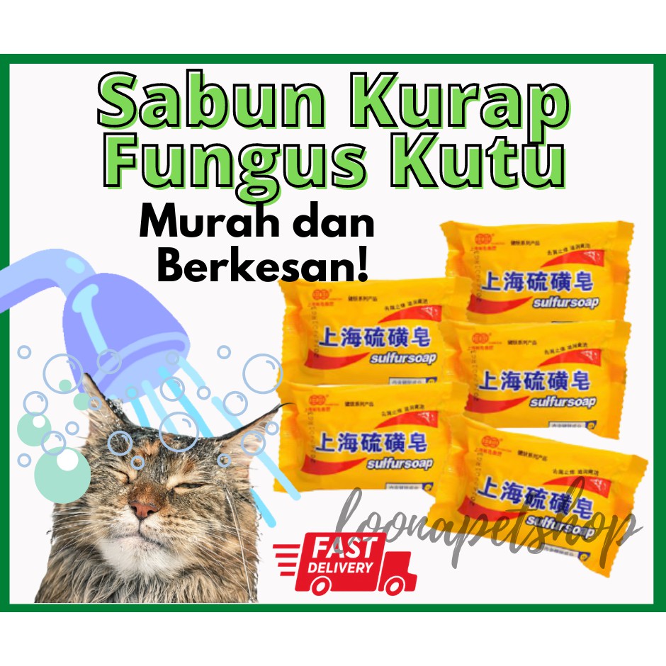Sabun Shampoo Kurap Fungus Kutu Kucing | Shopee Malaysia