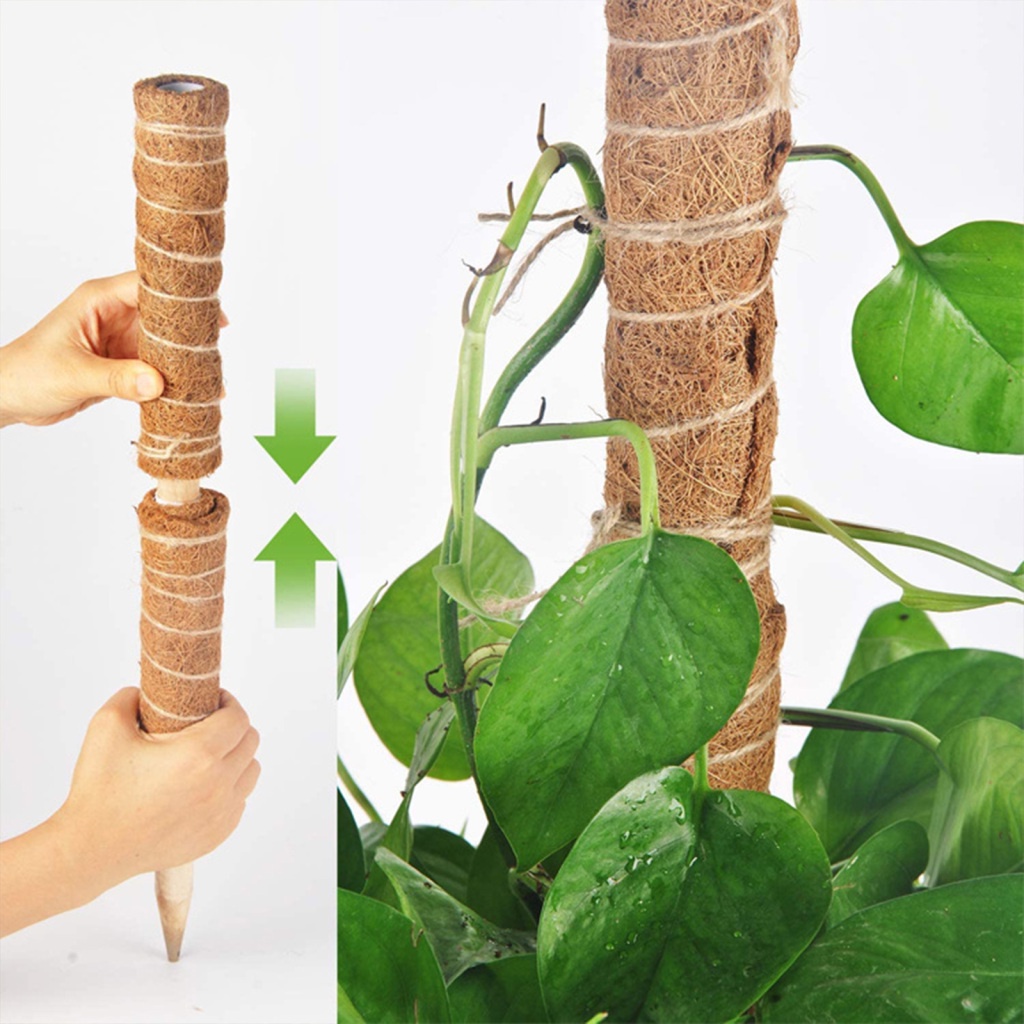 EPAY Moss Poles Stick Plant Stakes Gardening Supplies Stackable Stand ...