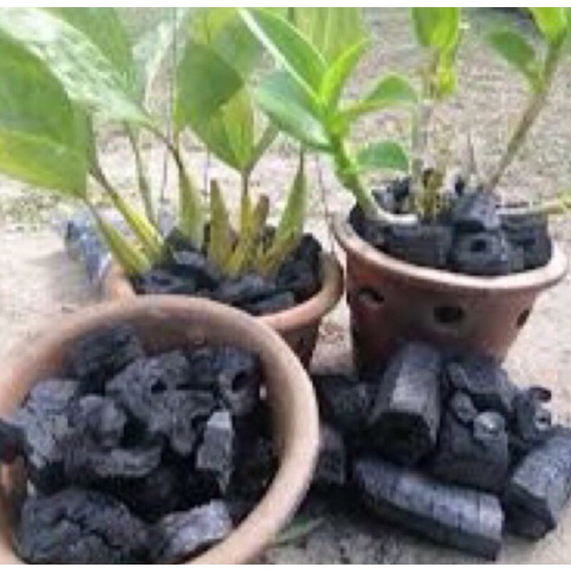 ARANG ORKID 🌸Arang Kayu Bakau Kuala Sepetang • 1KG | Shopee Malaysia