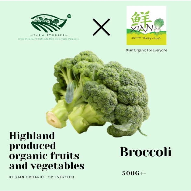 Broccoli (500g+-) (Highland Produced Organic Vegetables by Xian Organic ...