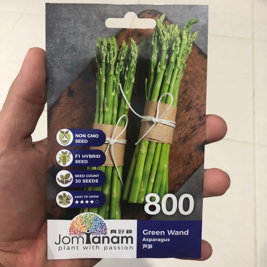 Benih Asparagus Hijau JomTanam 800 (30 biji) | Shopee Malaysia