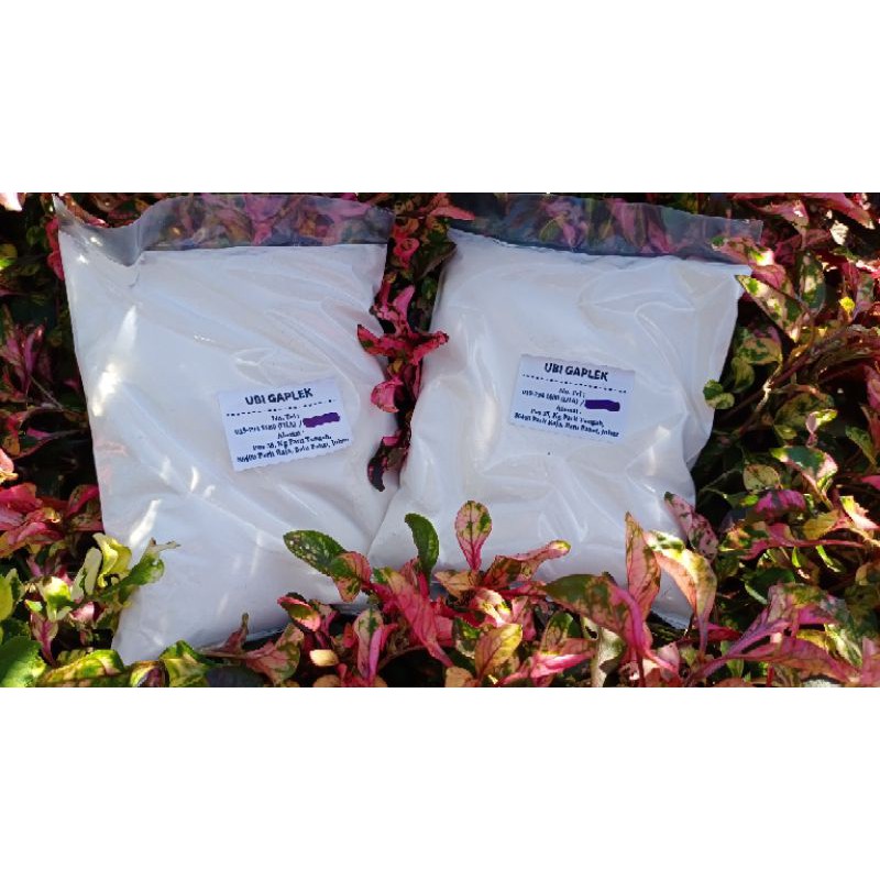 Tepung Gaplek Asli (Ketiwol) 500gram | Shopee Malaysia