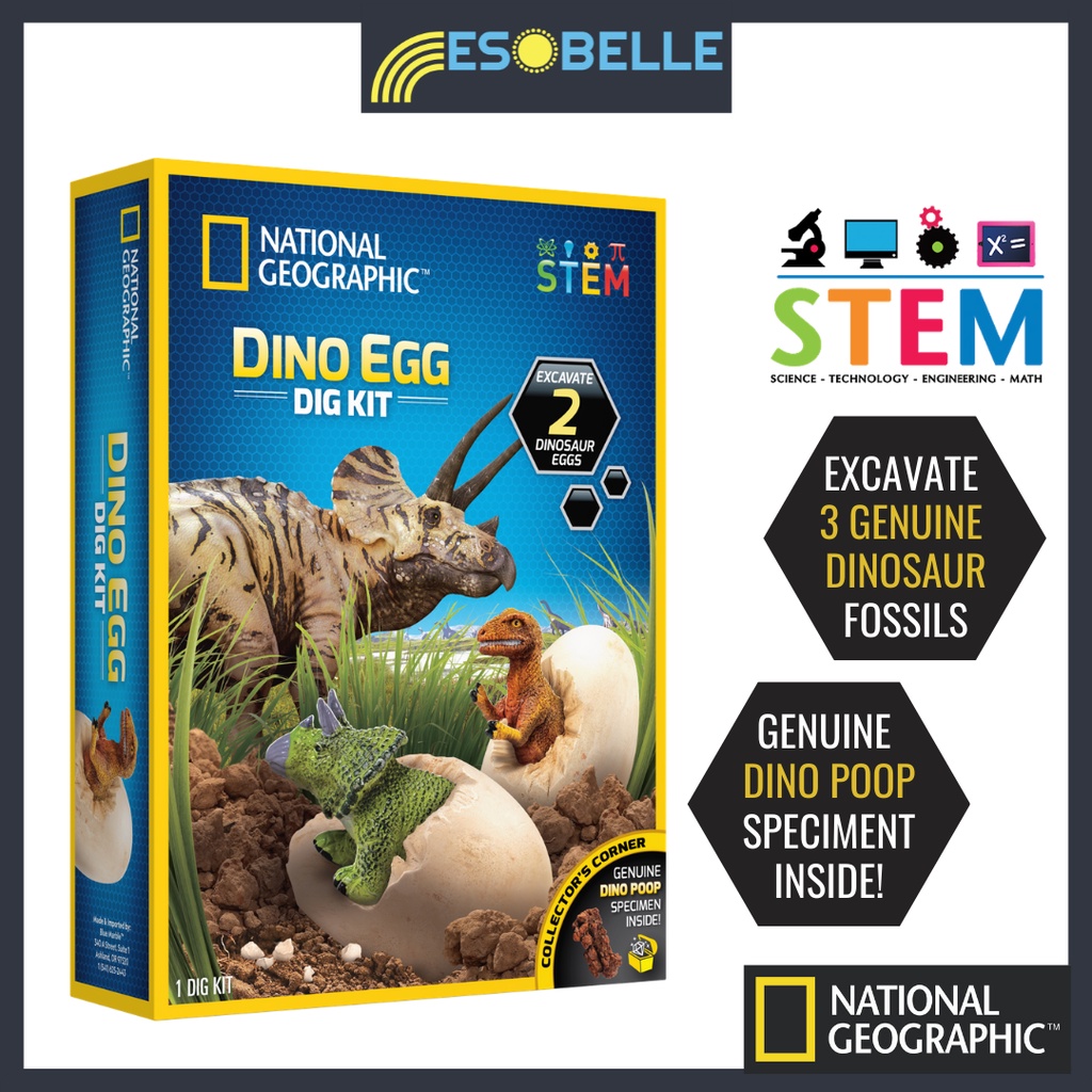 NATIONAL GEOGRAPHIC Dinosaur Egg Dig Kit (Genuine DINO POOP Specimen ...
