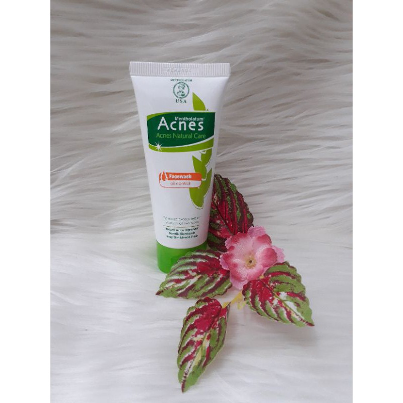 Acnes FACE WASH OIL CONTROL 50G | Shopee Malaysia