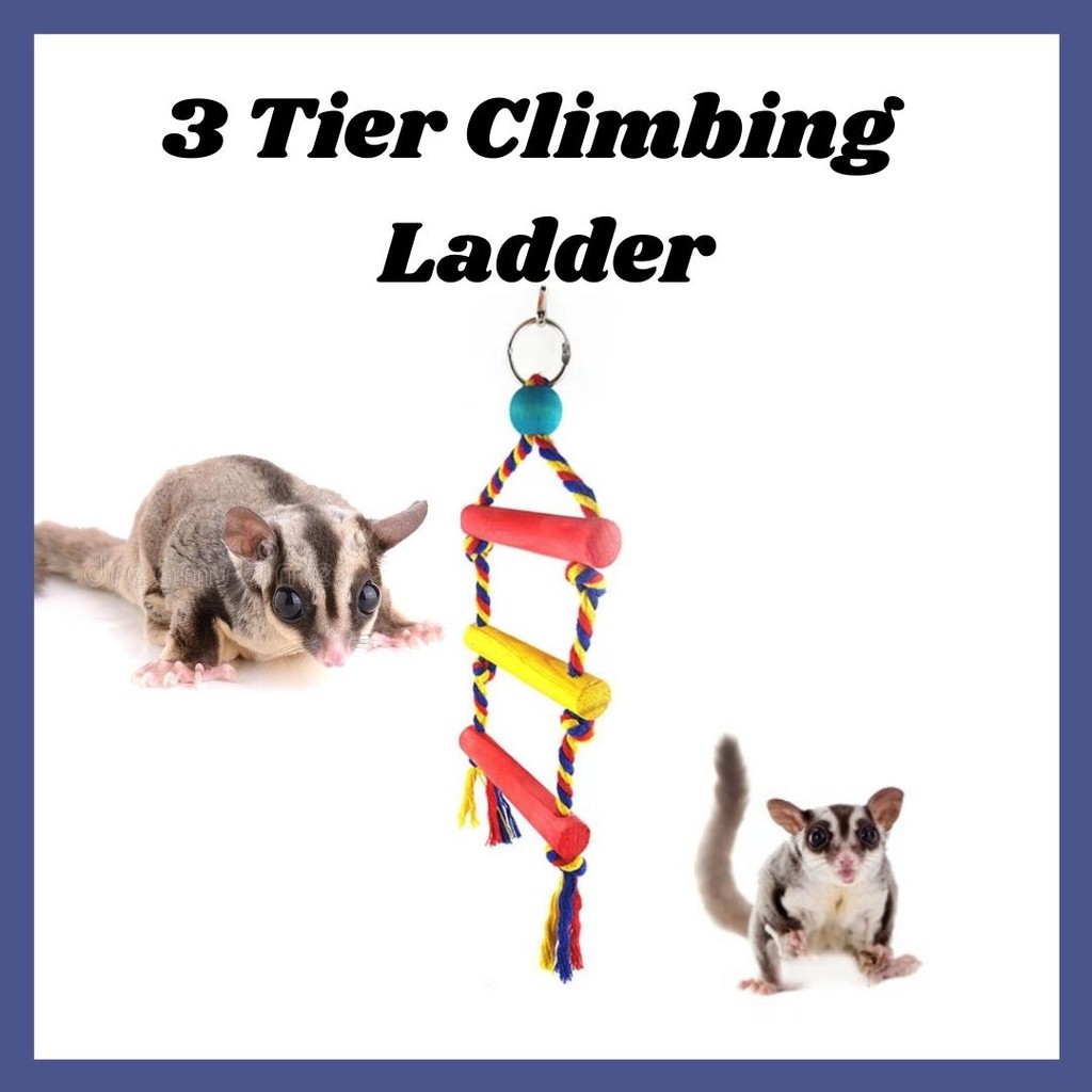 3 Tier Climbing Ladder Sugar Glider Parrot 蜜袋鼯鹦鹉彩色玩具3层爬梯 | Shopee Malaysia