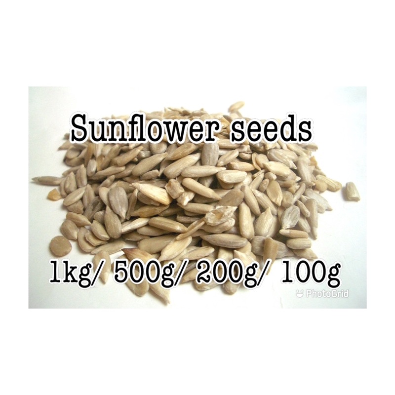 Sunflower Seed Raw/ Kuaci Mentah/ 瓜子 1kg/500g/200g/100g | Shopee Malaysia