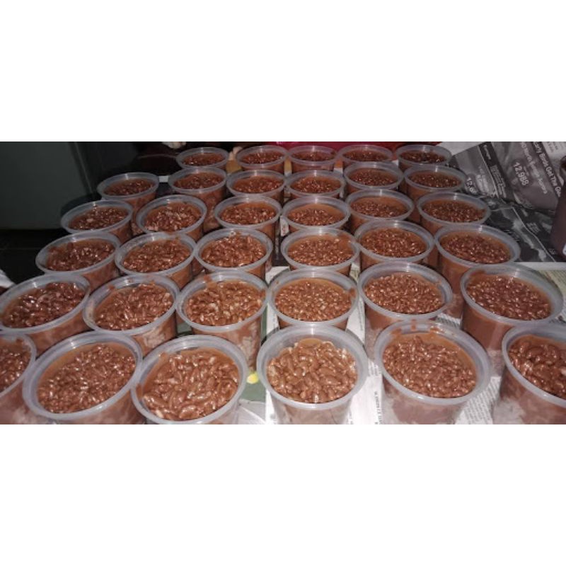 chocojar mini borong | Shopee Malaysia