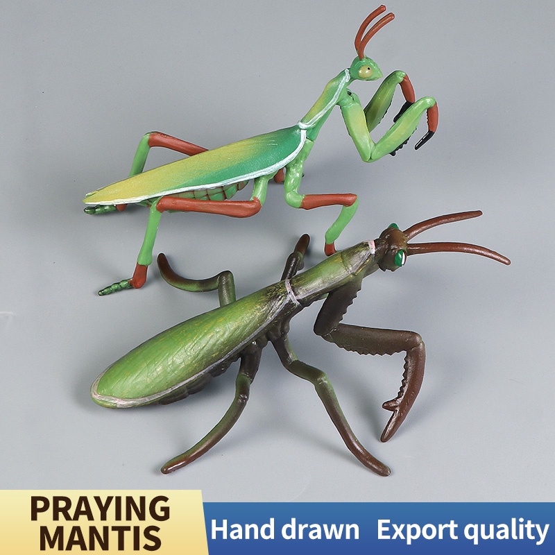 Simulated Insect Model Animal Praying Mantis Insect Toys Action Figures ...