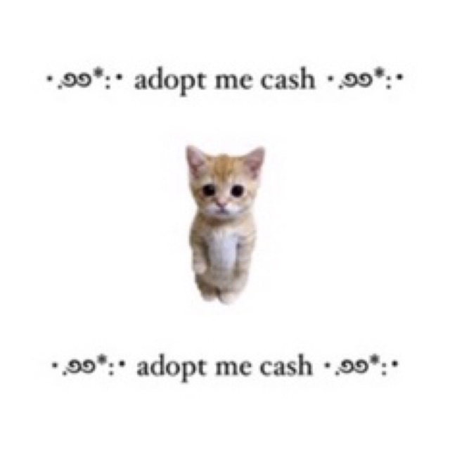 !! roblox adopt me cash !! (read desc) | Shopee Malaysia