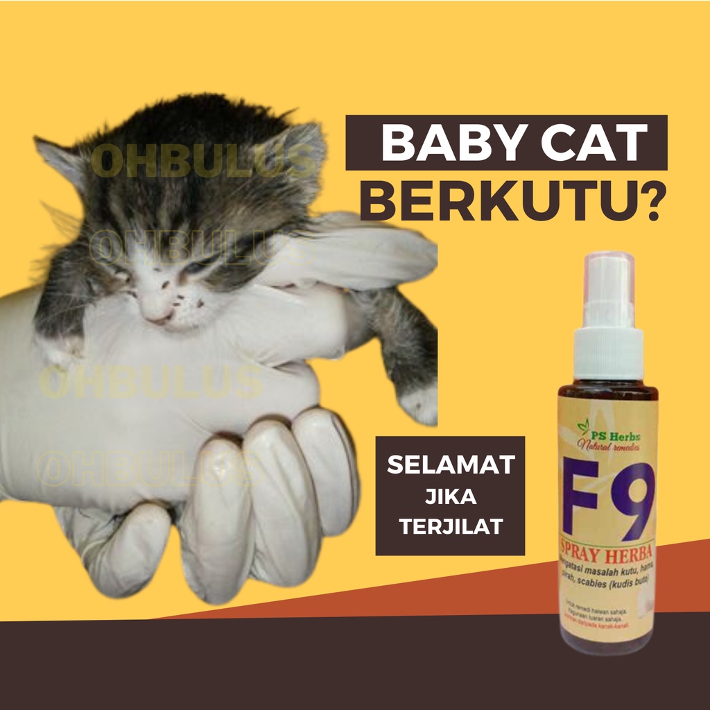 (PS Herbs F9) Earmite Flea Hama Kutu Kucing Cat Dog Rabbit | Shopee ...
