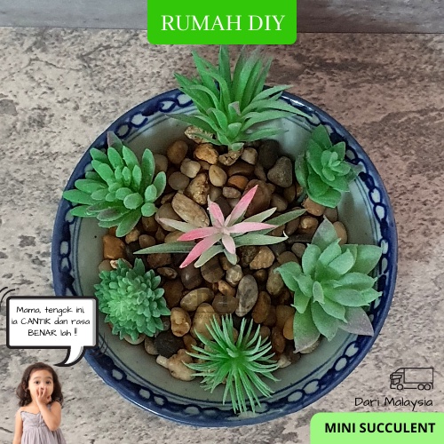 RUMAHDIY [3Pcs] Artificial Mini Succulent Plant | Cactus Mini | Kaktus ...