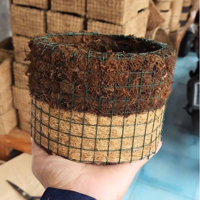 Coconut Coir Pot With A Combination Of Planting media | Shopee Malaysia